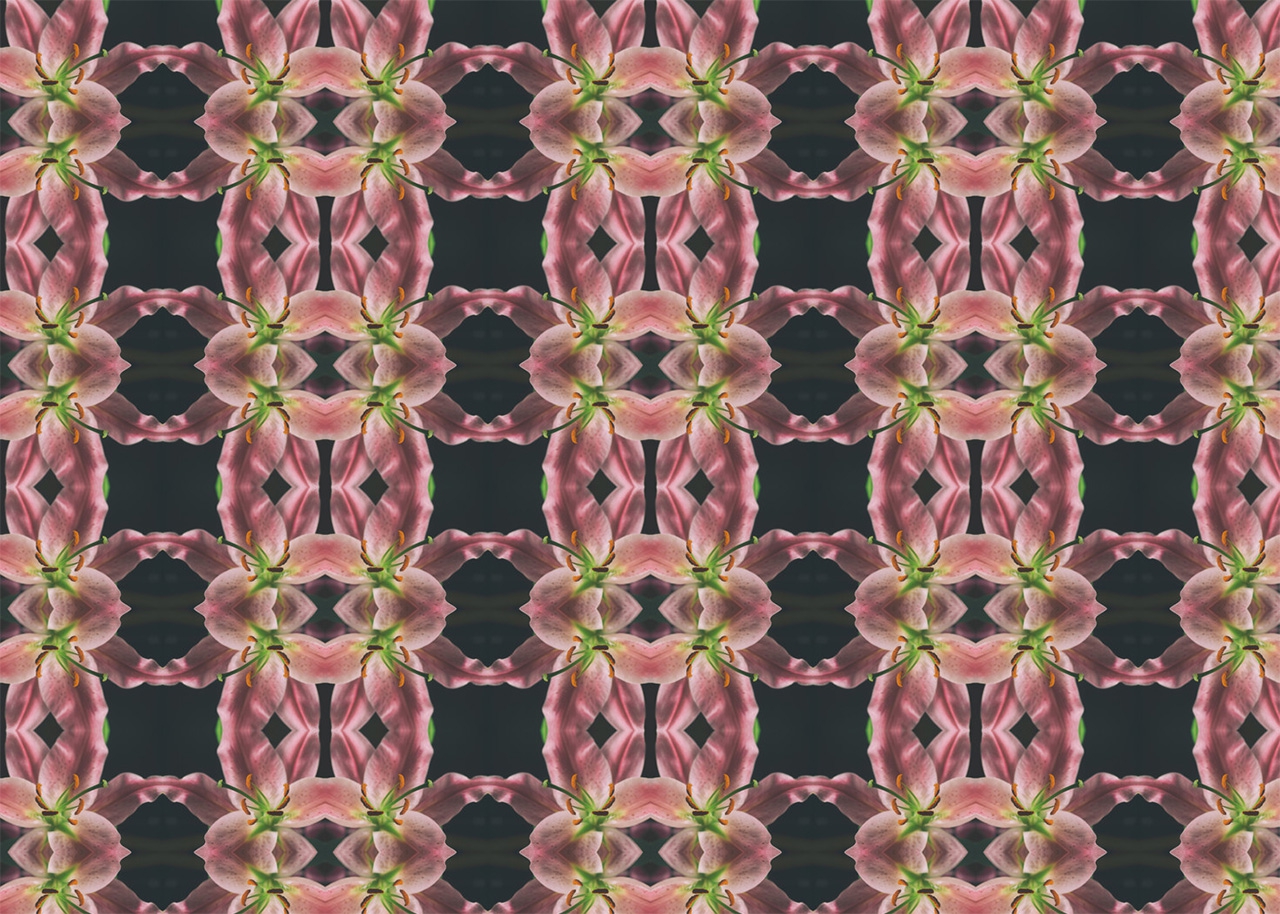 Blog How To Create A Seamless Repeat Pattern