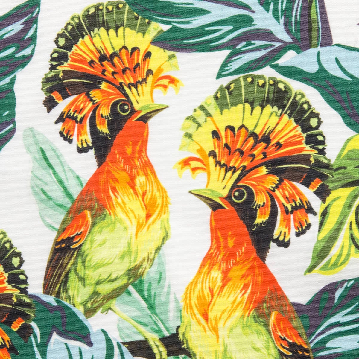 Custom Printed Cotton Poplin Fabric