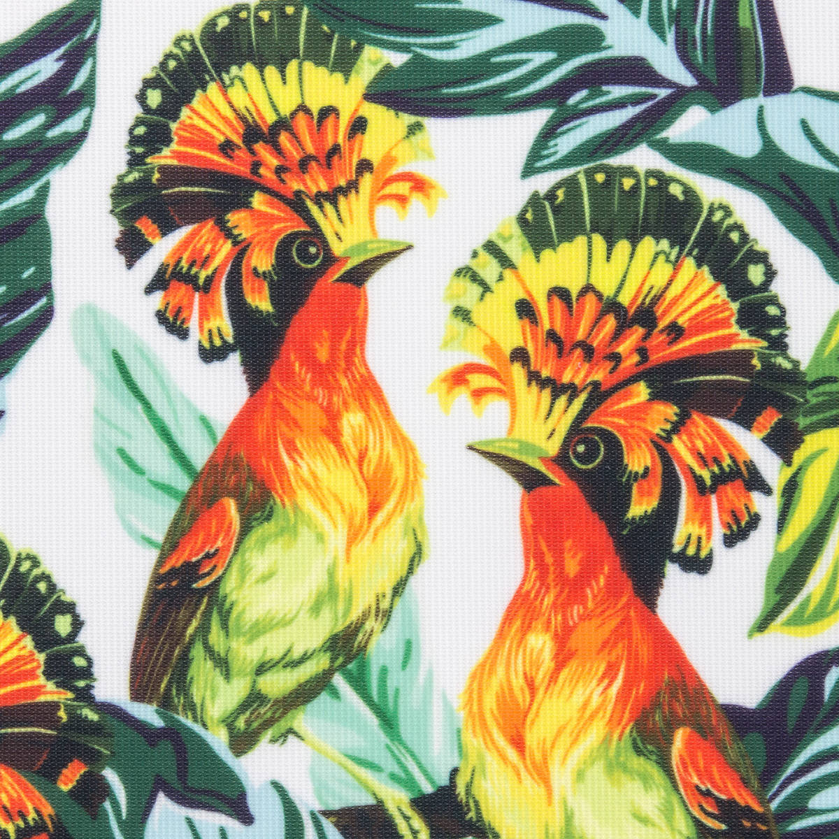 Flag Fabric Printing