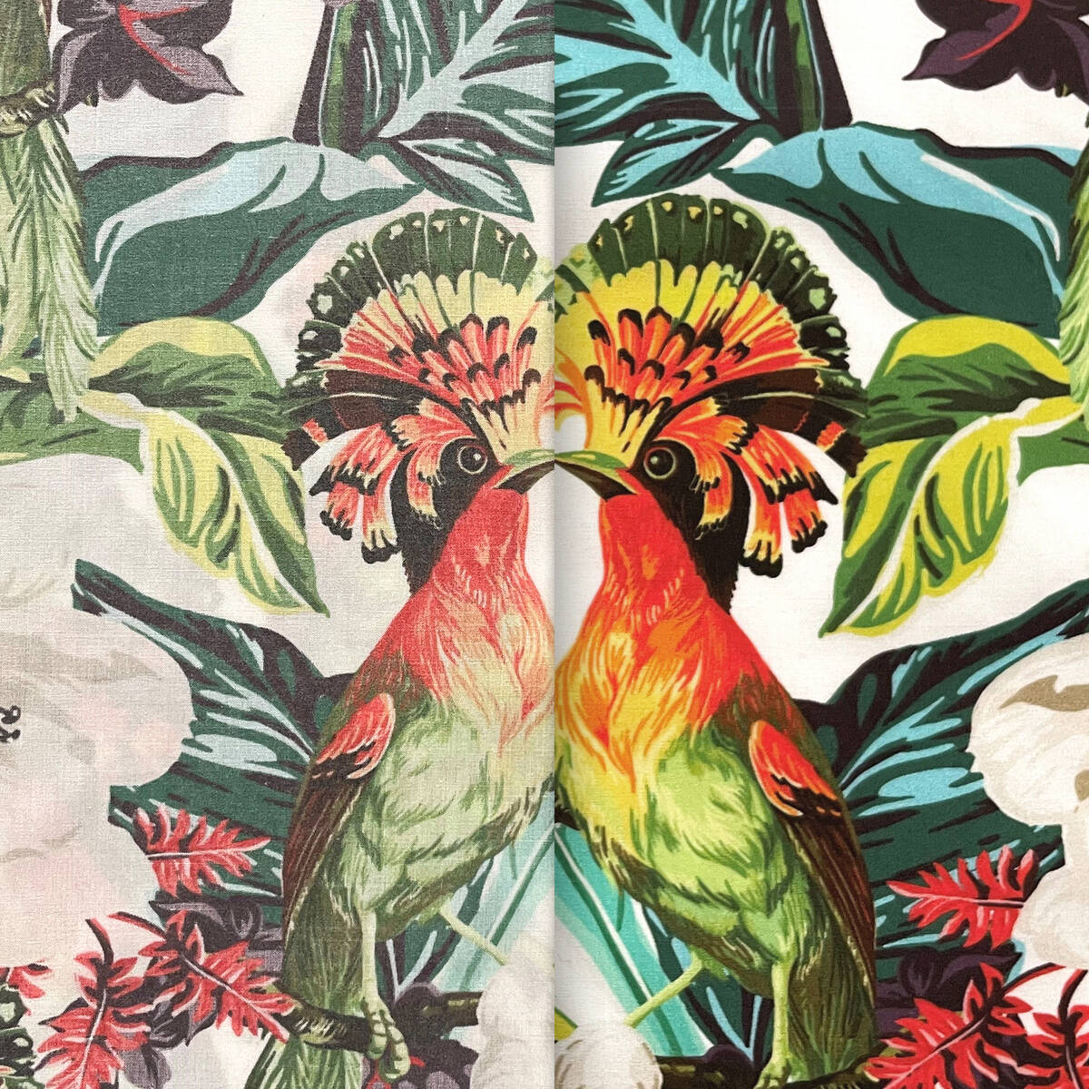 Custom Printed Cotton Percale Fabric