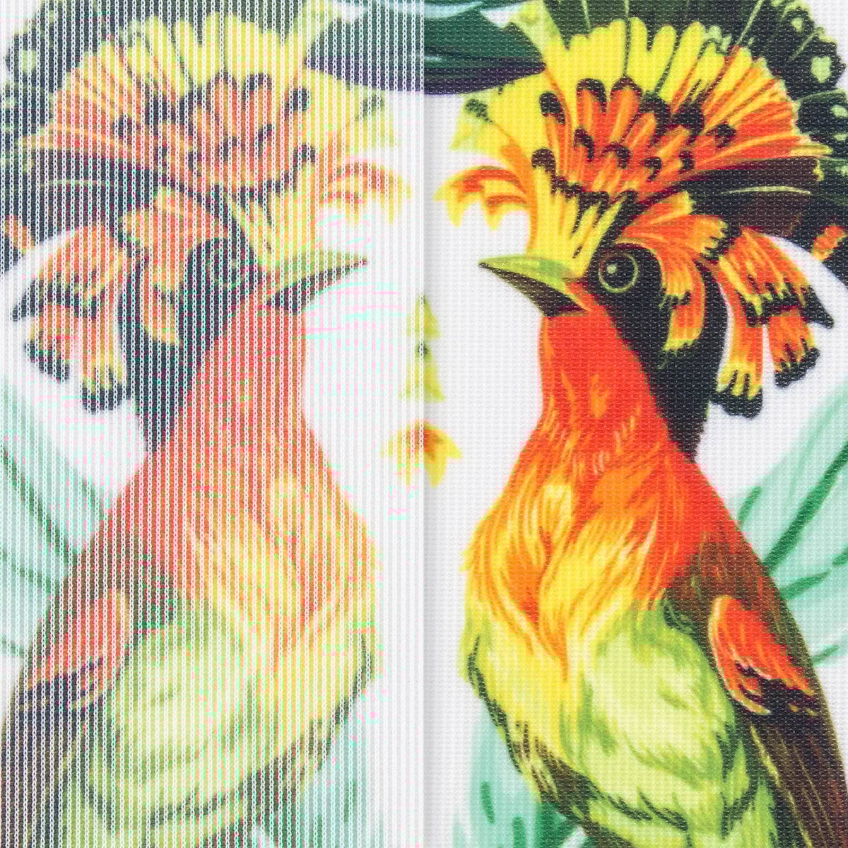 Flag Fabric Printing