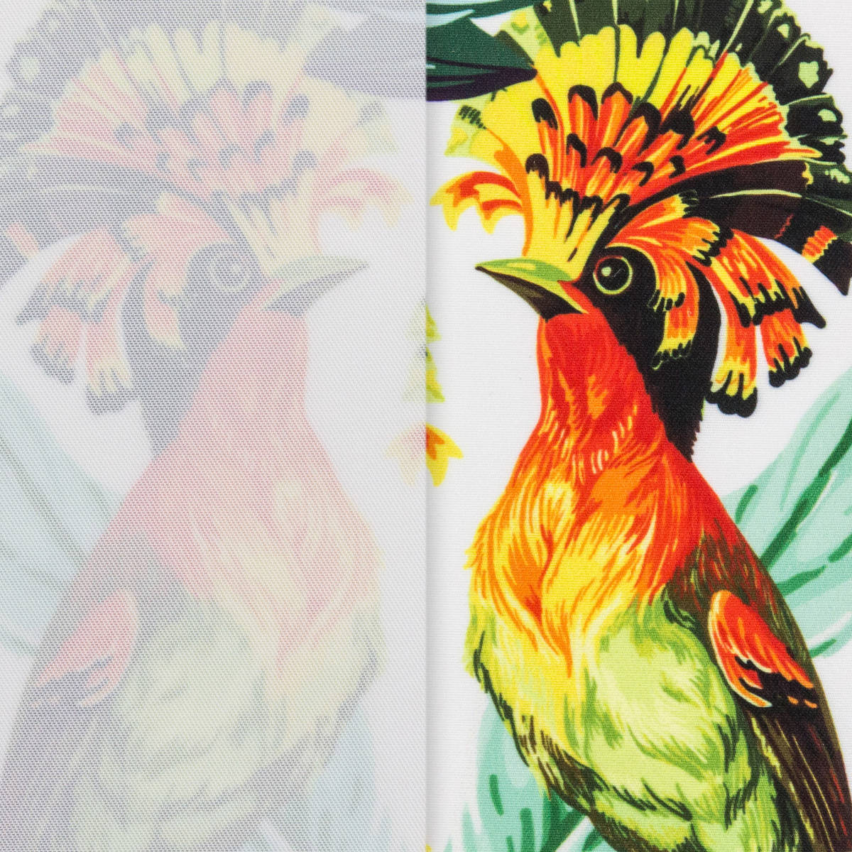 Peach Face Fabric Printing